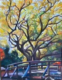 Back by popular demand Pastel Workshop with Clive Scott - Ashburton ...