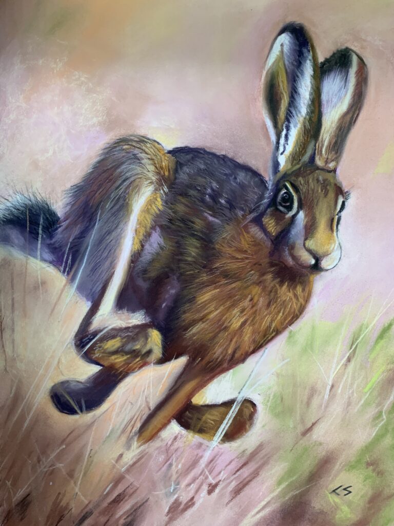 OPEN Pastel Workshop with Clive Scott - Ashburton Society of Arts